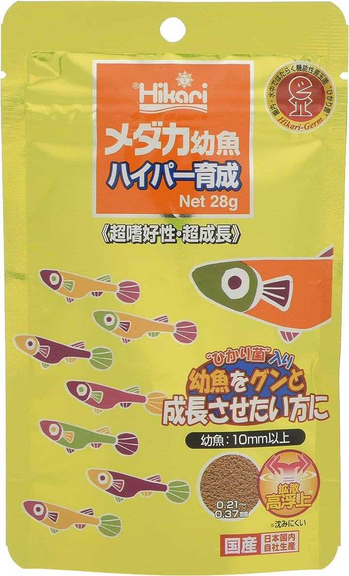 Medaka Fish – medakafarm