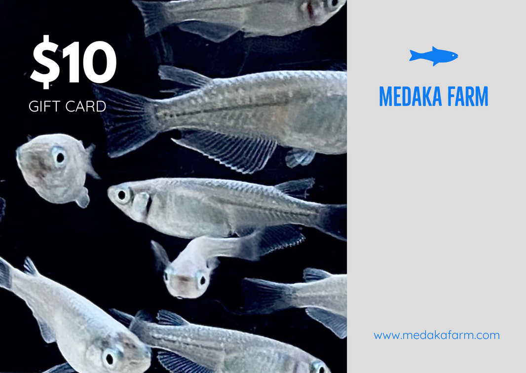 Products – medakafarm