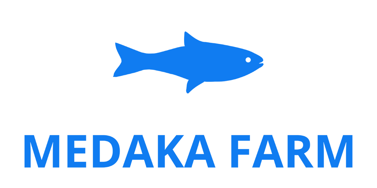 Medaka Farm | Ricefish | Medaka Fish & Supplies - Bred in California ...